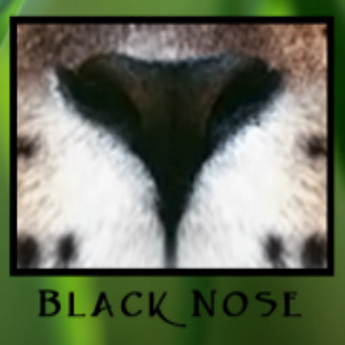 Second Life Marketplace - WK Mokobane Cheetah